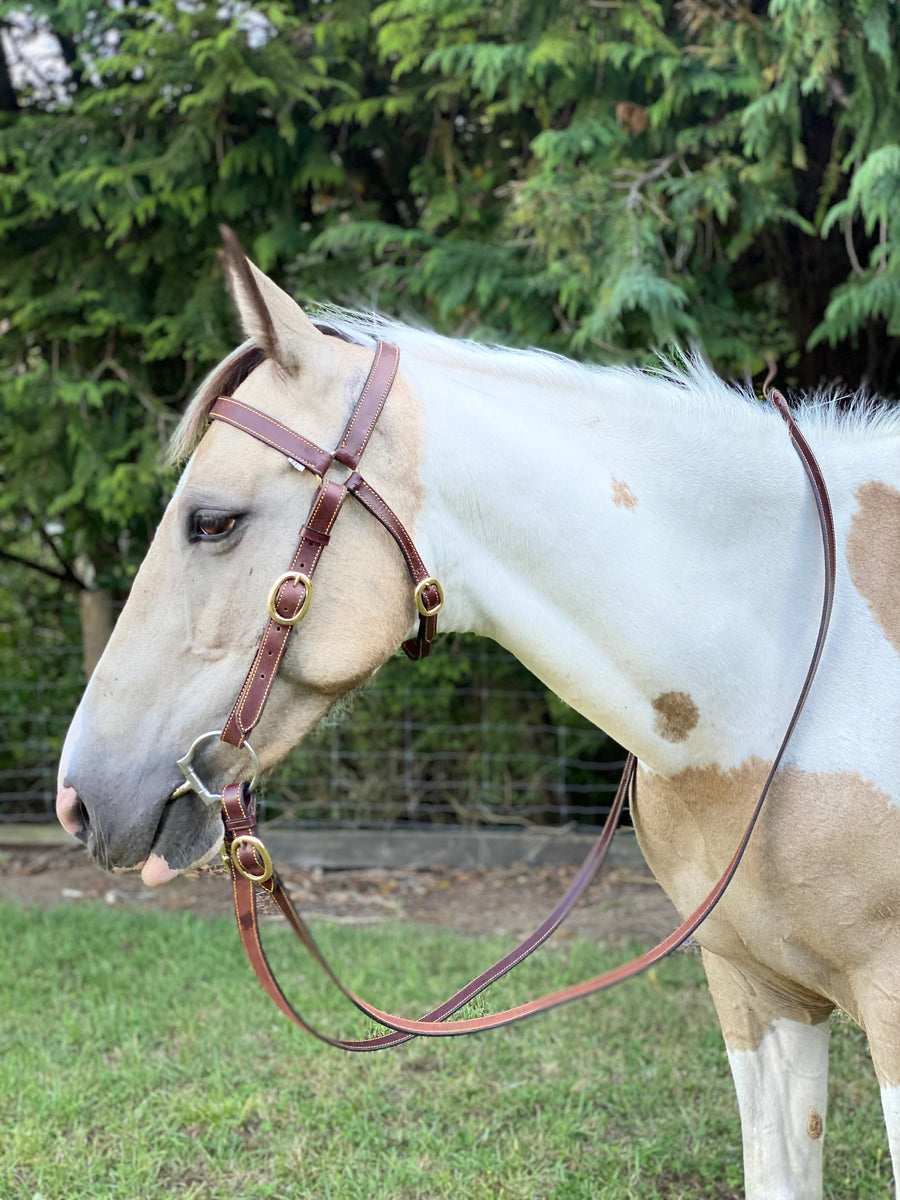Flinders Edge Sewn 1" wide Barcoo Bridle – Outback Saddlery