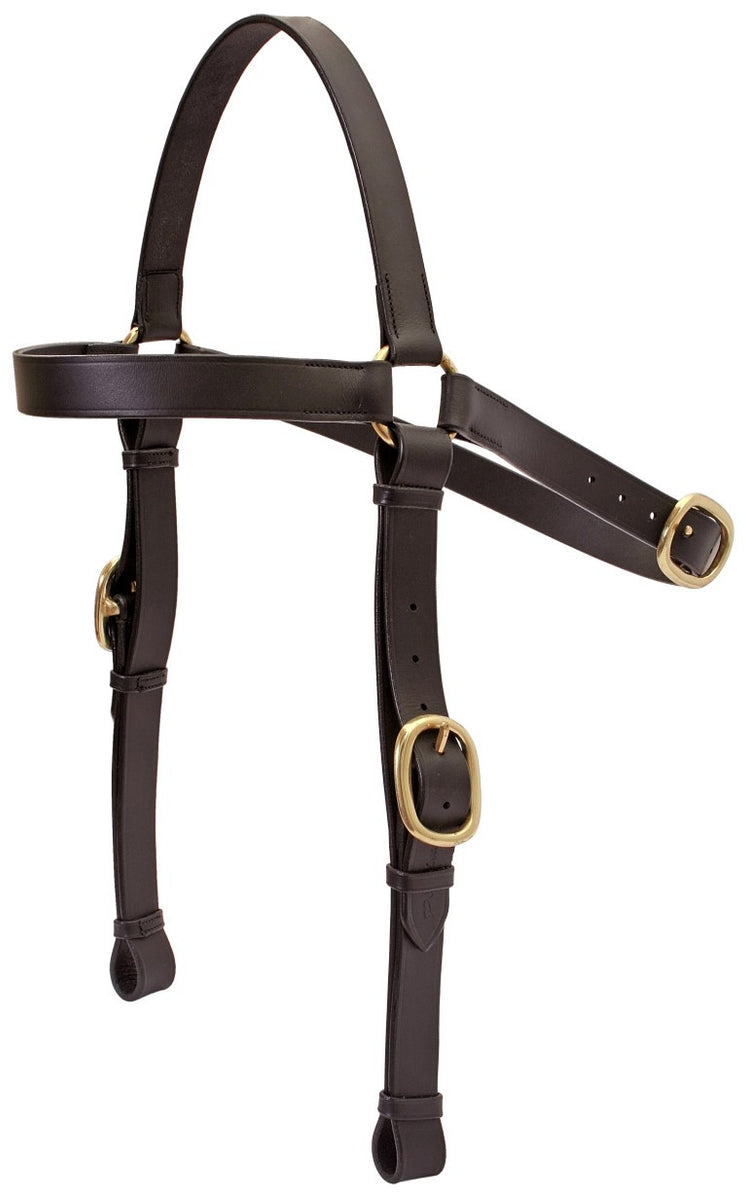 Platinum Barcoo Stock Bridle – Outback Saddlery